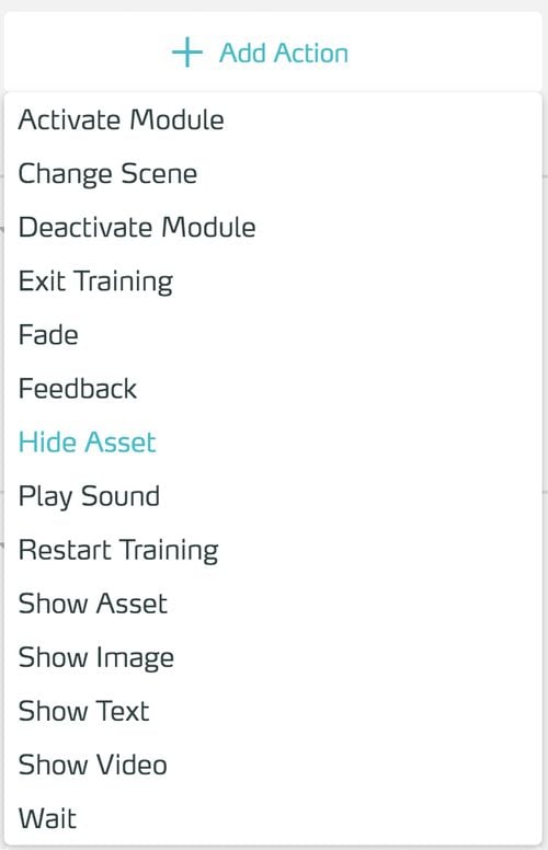 Hide Asset