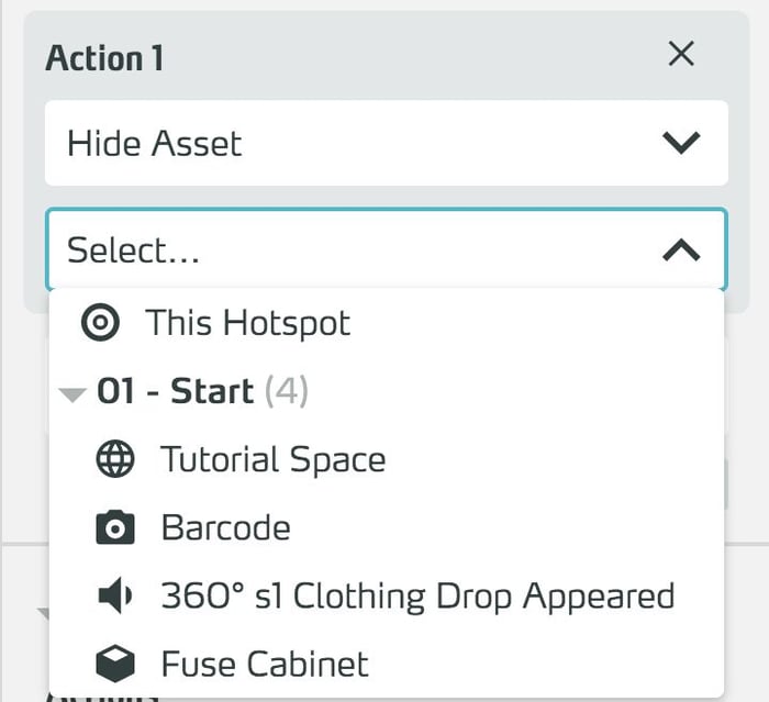 Hide Asset
